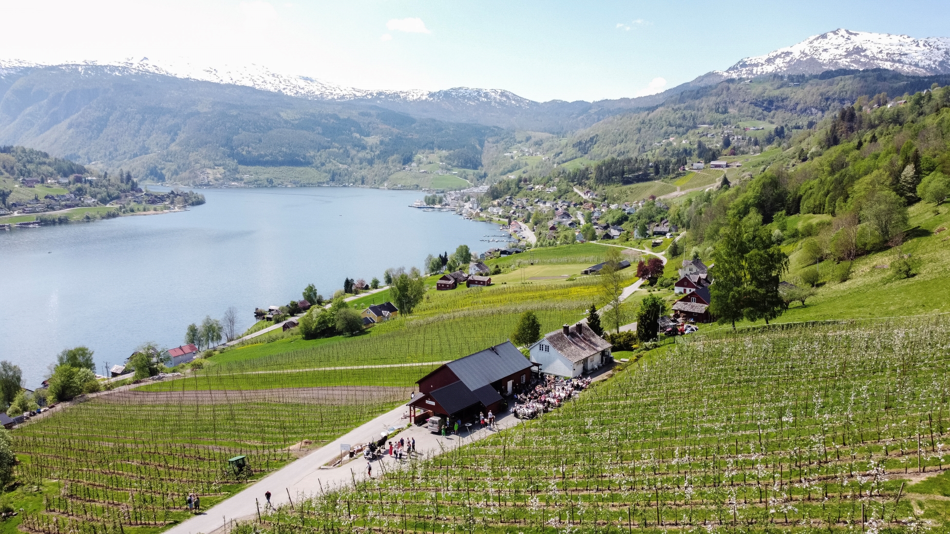 Visit the Fruit- and Cider route in Ulvik | Visit Voss